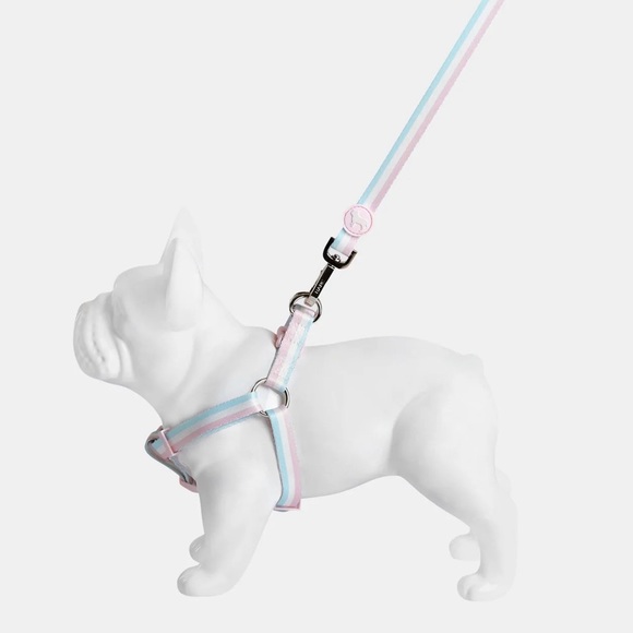 Barc London | Dog | Two Barc London Harnesses And Leashes Med Large ...
